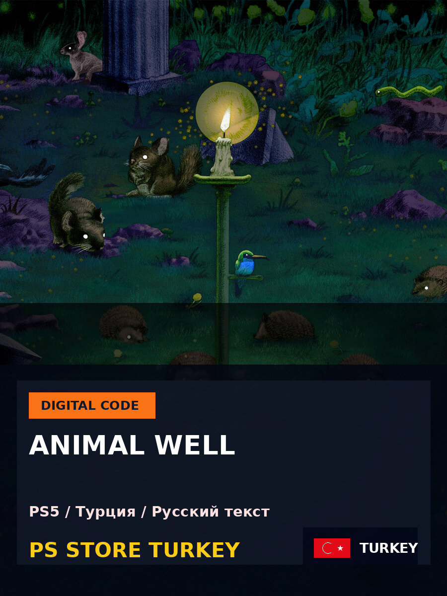 ANIMAL WELL PS5 — PlayStation Store Турция, цифровая версия