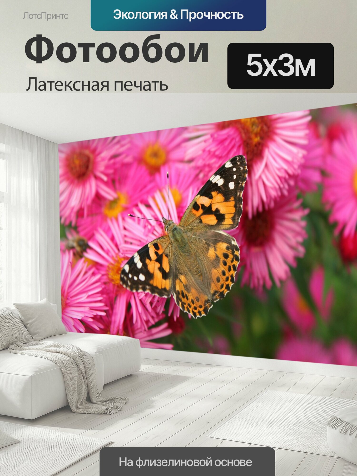 Фотообои моющиеся ударопрочные "Бабочка, бабочки, адмирал" 500x300 см. латексная печать