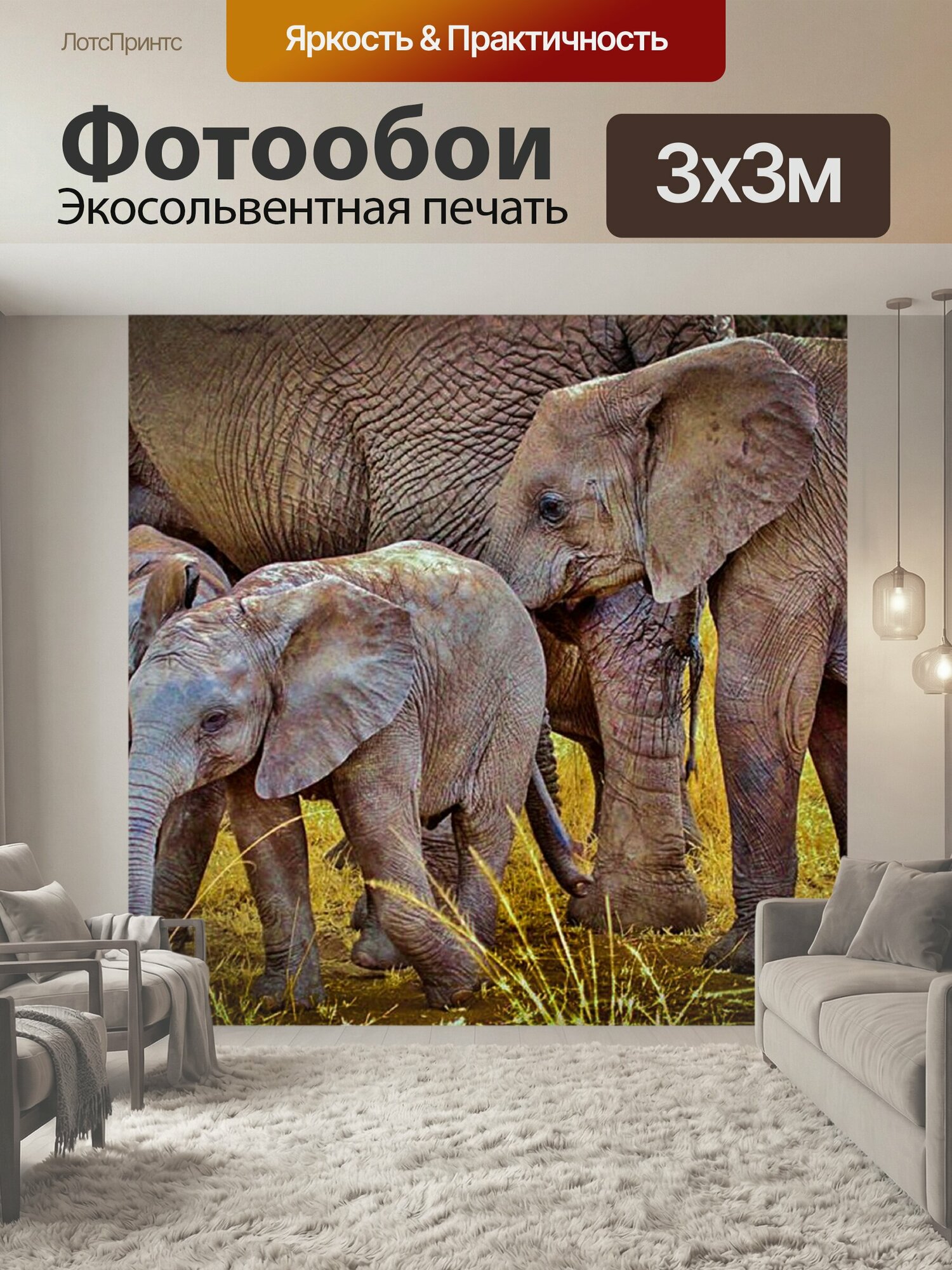 Фотообои "Слоны, слон, дикий слон" 300x300 см. экосольвентная печать