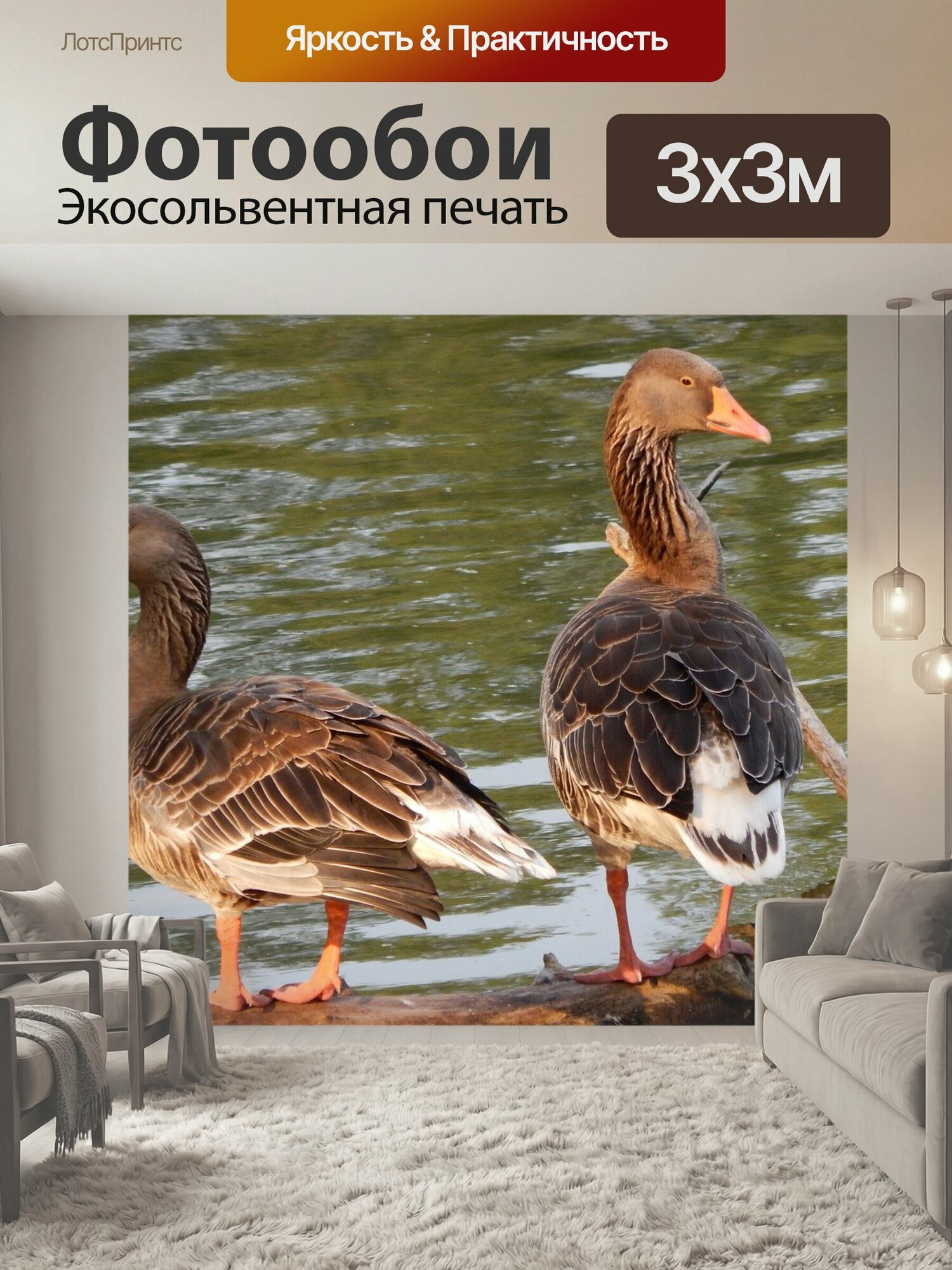 Фотообои "Утки, гусь, дикие птицы" 300x300 см. экосольвентная печать