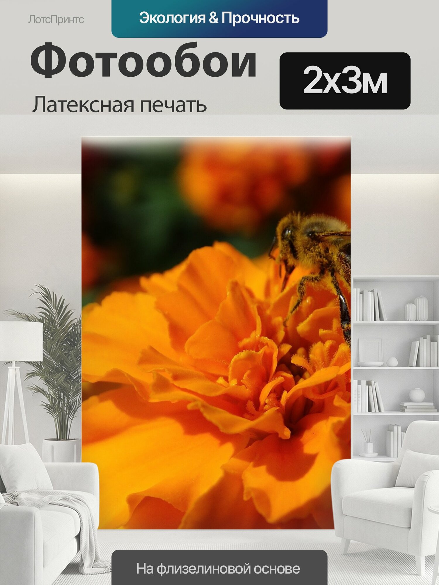Фотообои моющиеся ударопрочные "Бархатцы, цветок, цвести" 200x300 см. латексная печать