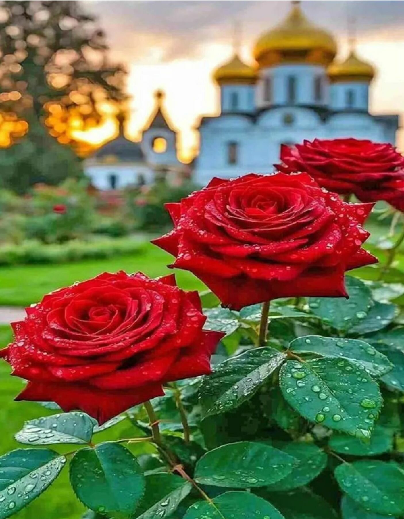 Набор для вышивания 40*50 "Церковь и розы"