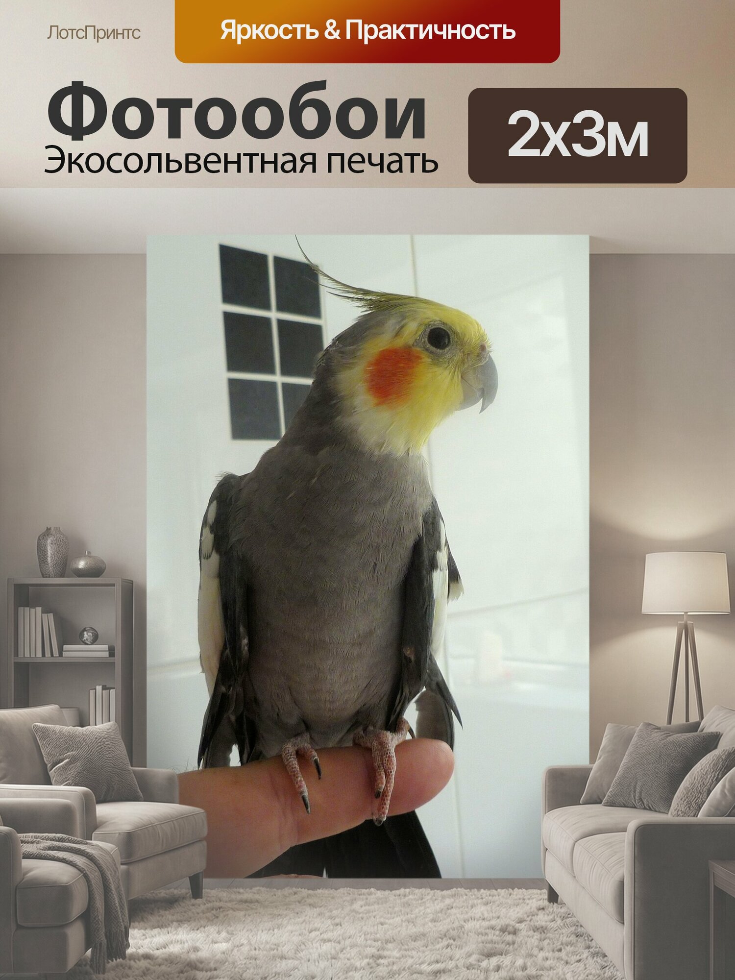 Фотообои "Птица, корелла, клюв" 200x300 см. экосольвентная печать