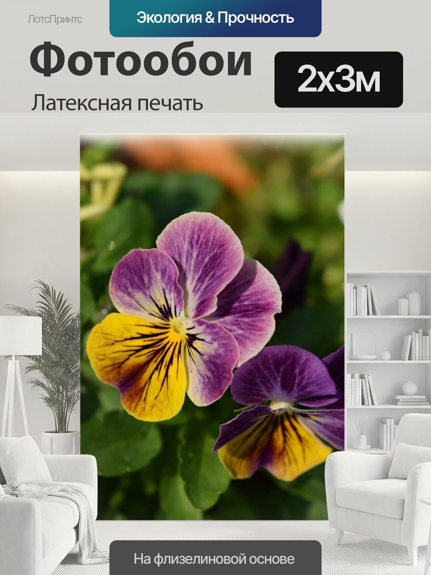Фотообои моющиеся ударопрочные "Фиолетовые цветы, антуриум, цветы чиангмая" 200x300 см. латексная печать