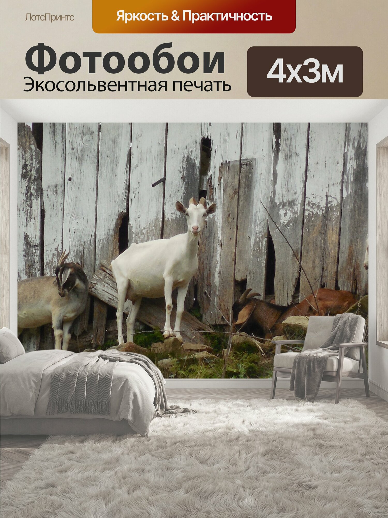 Фотообои "Сарай, козел, животное" 400x300 см. экосольвентная печать