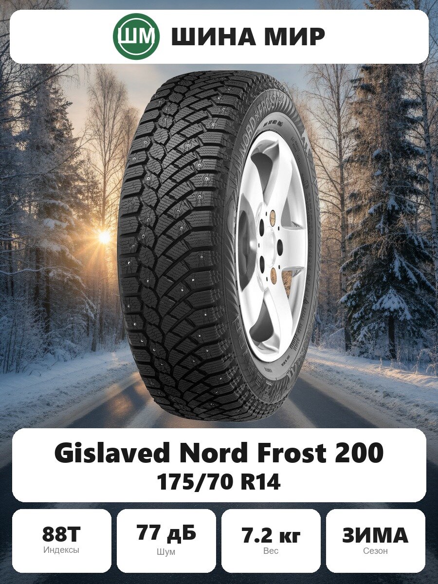 Шина Gislaved Nord Frost 200 175/70 R14 XL 88T Зимняя Шипованная