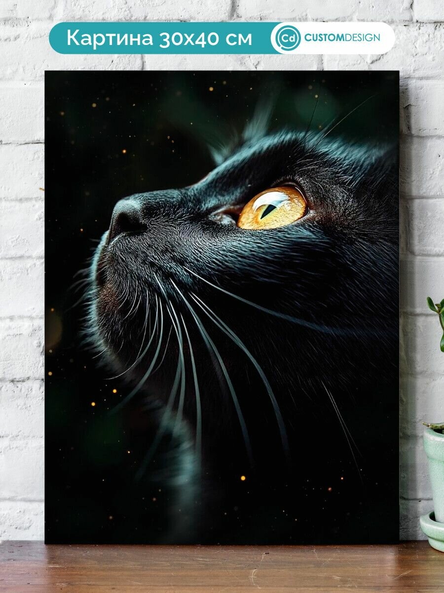 Картина на стену для интерьера Кот 30x40 см