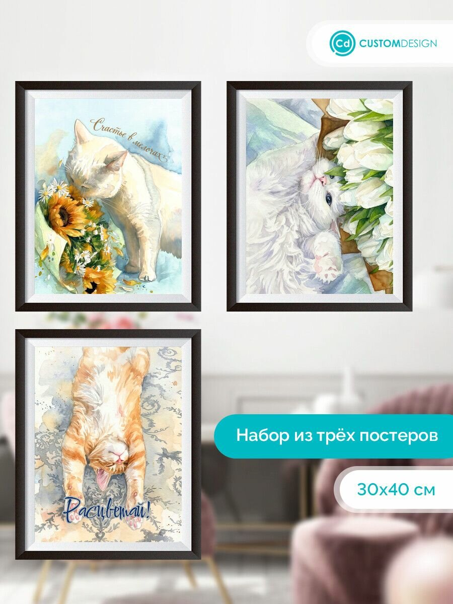 Постеры на стену для интерьера Кот 30х40 см 3 штуки