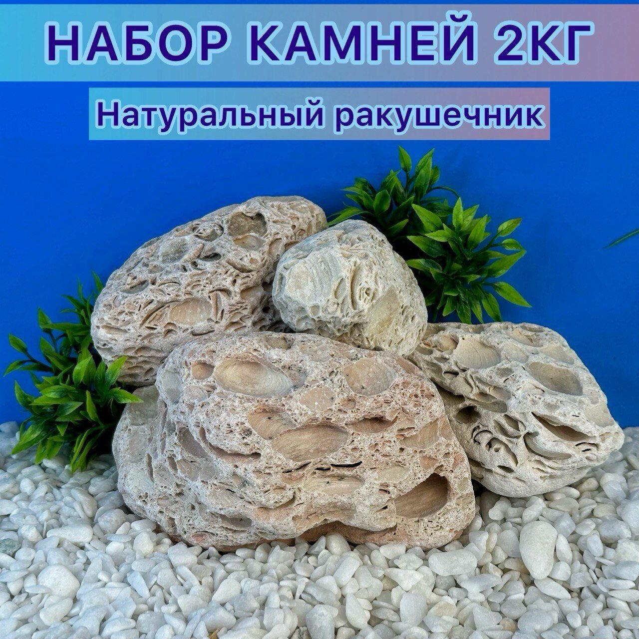 Набор камней для аквариума (2кг) Ракушечник натуральный . Декор для аквариума .