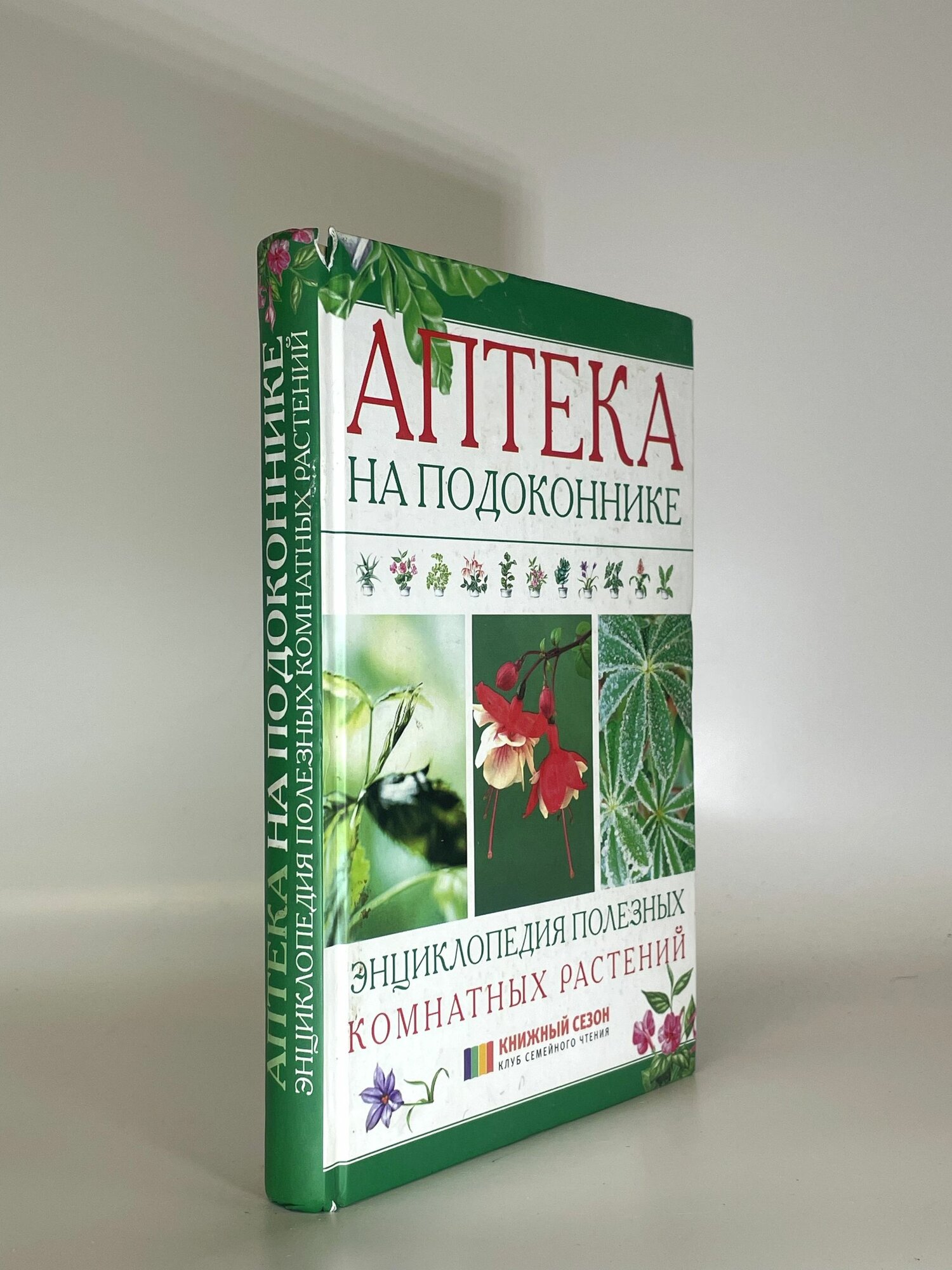 Аптека на подоконнике. Сообщество авторов. Букинистическая книга в отличном состоянии.