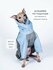 Комбинезон дождевик для собак GREYDOG