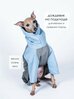 Комбинезон дождевик для собак GREYDOG