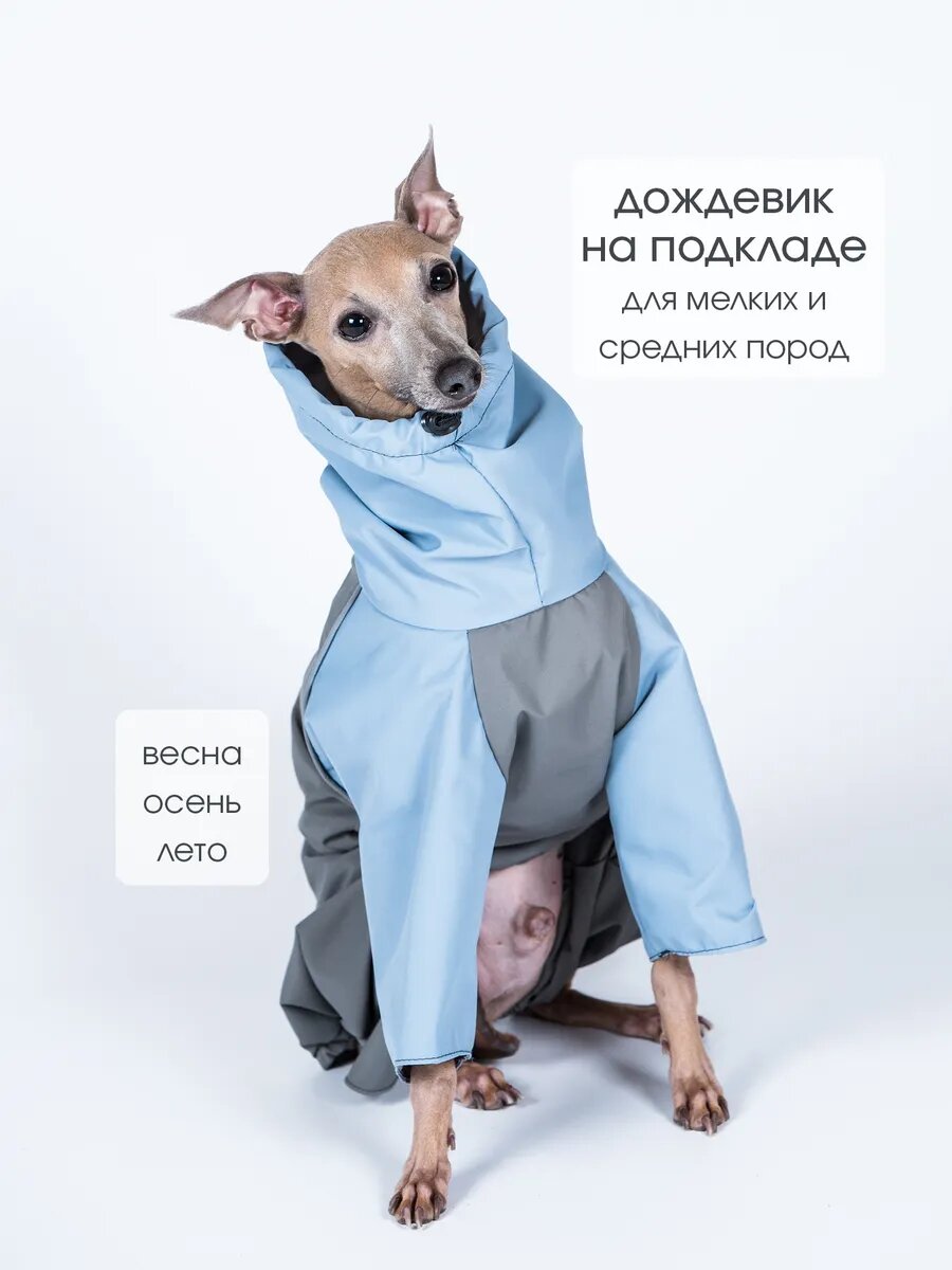 Комбинезон дождевик для собак GREYDOG