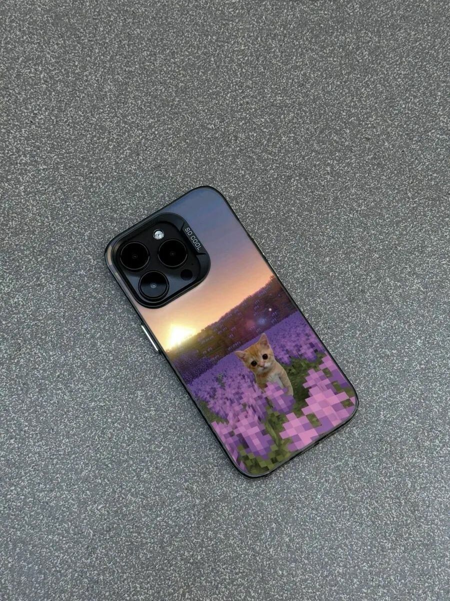 Чехол на Iphone 16 Pro Max мем — фото 1