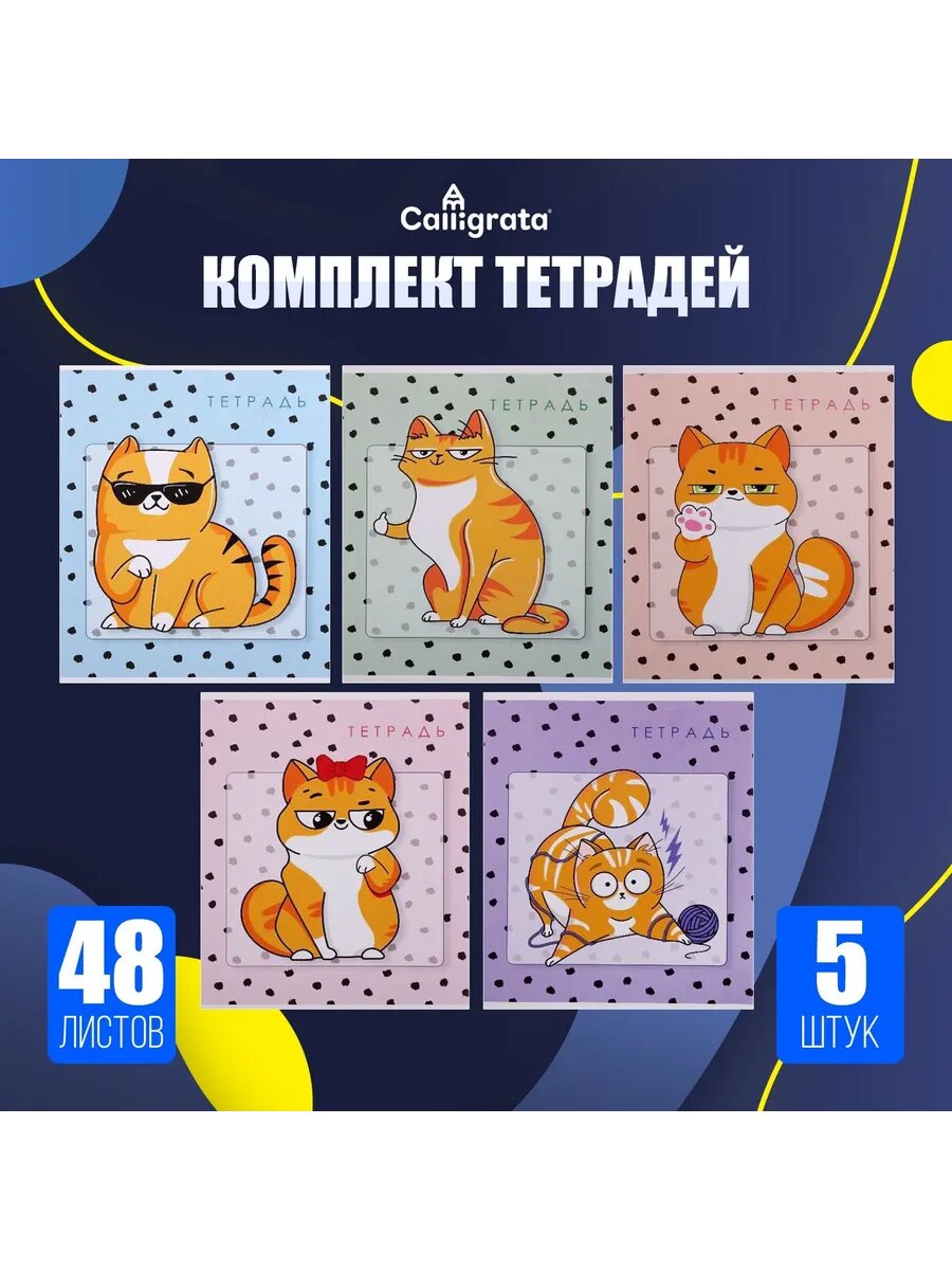 Тетради в клетку набор 48л/5 шт