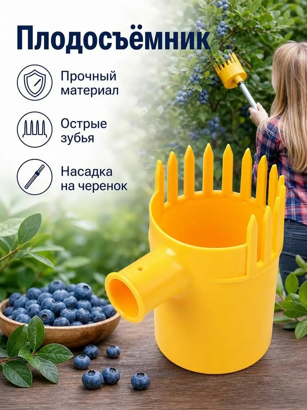 Плодосборник