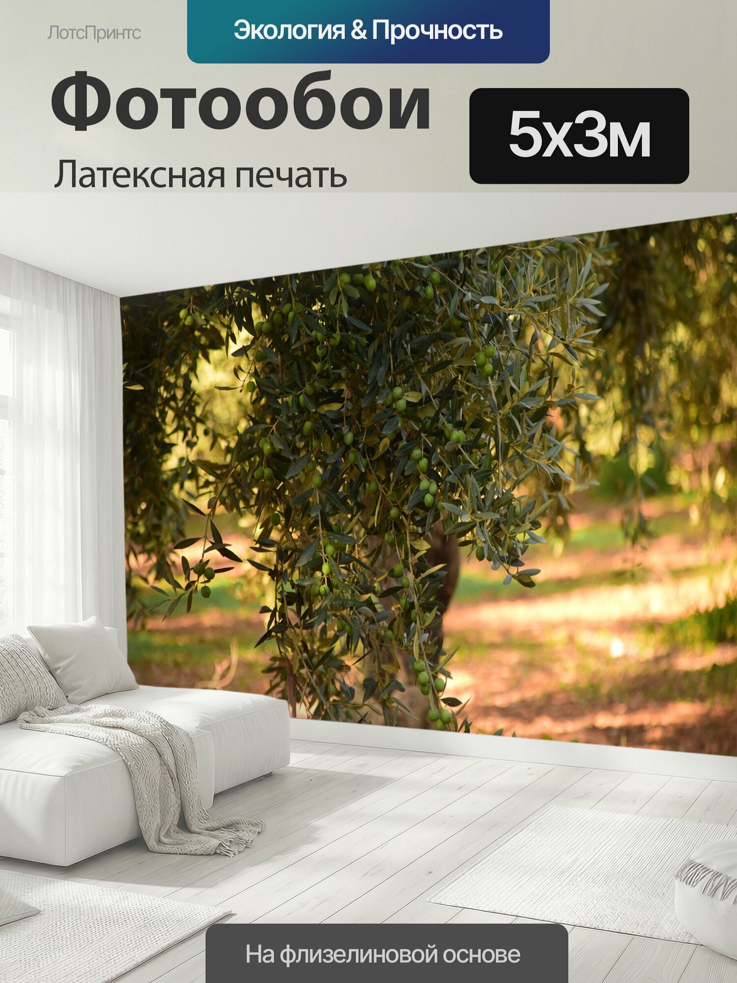 Фотообои моющиеся ударопрочные "Оливки, оливковое дерево, природа" 500x300 см. латексная печать