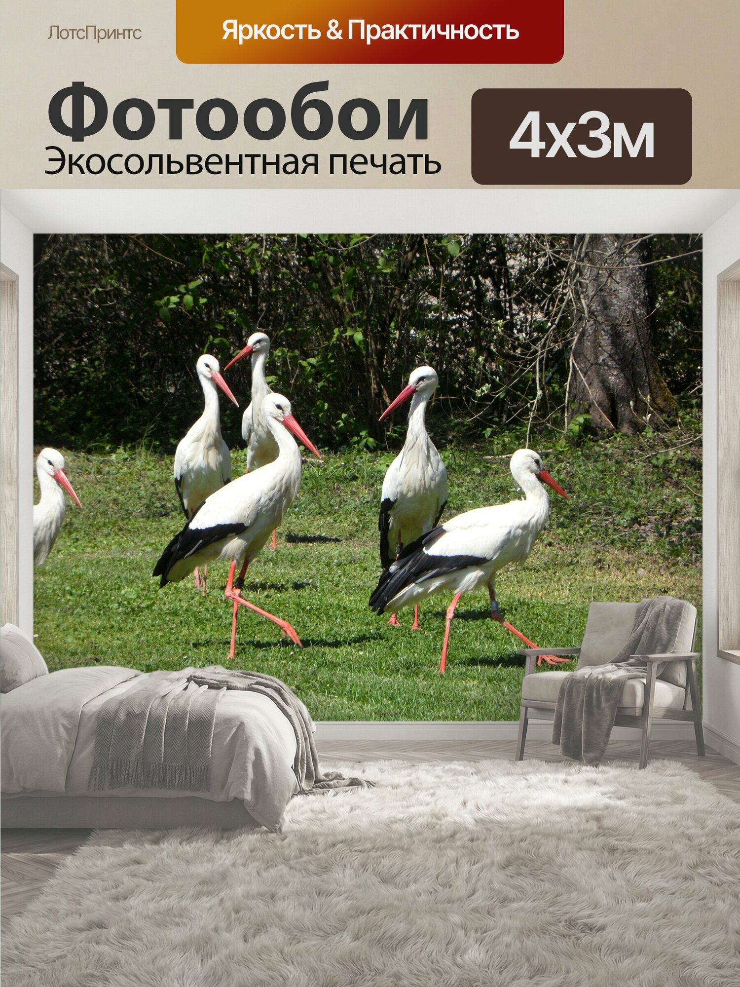 Фотообои "Аист, аисты, погремушка аист" 400x300 см. экосольвентная печать