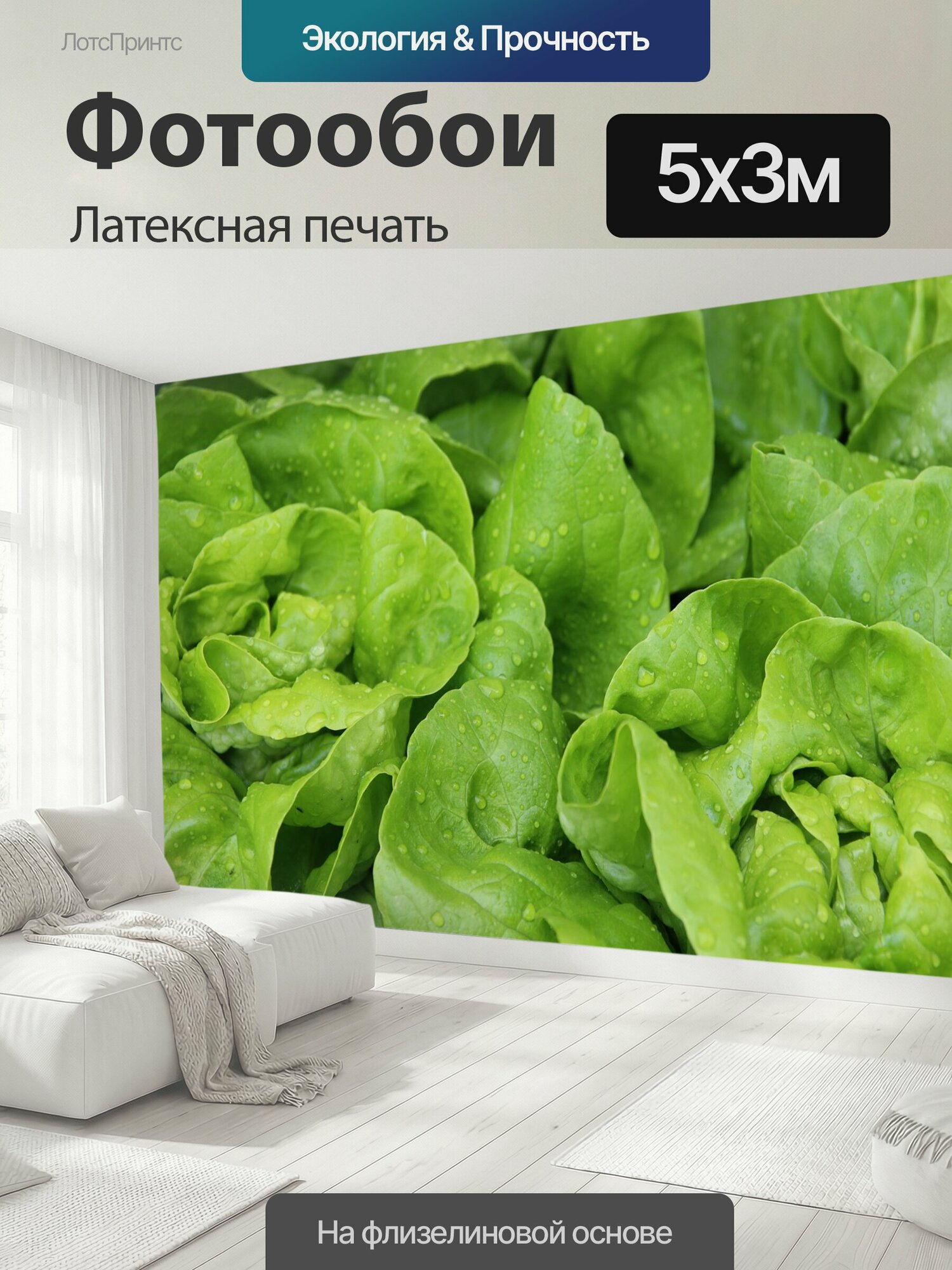 Фотообои моющиеся ударопрочные "Салат, листья салата, латук" 500x300 см. латексная печать