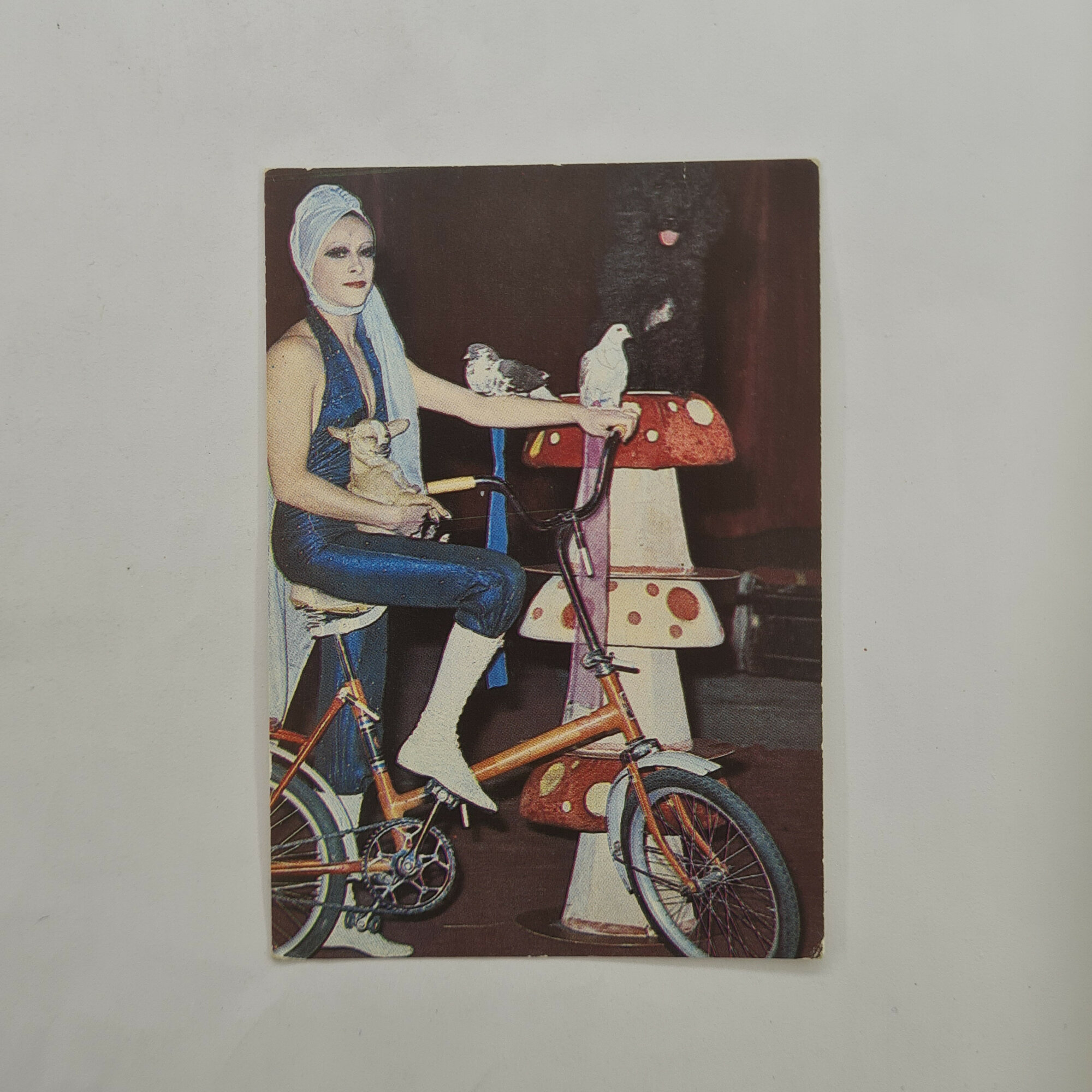 Карманный календарик СССР 1984. Цирк, женщина с голубями и велосипедами. Советский календарь