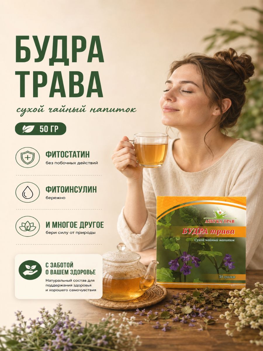 Будра плющевидная трава