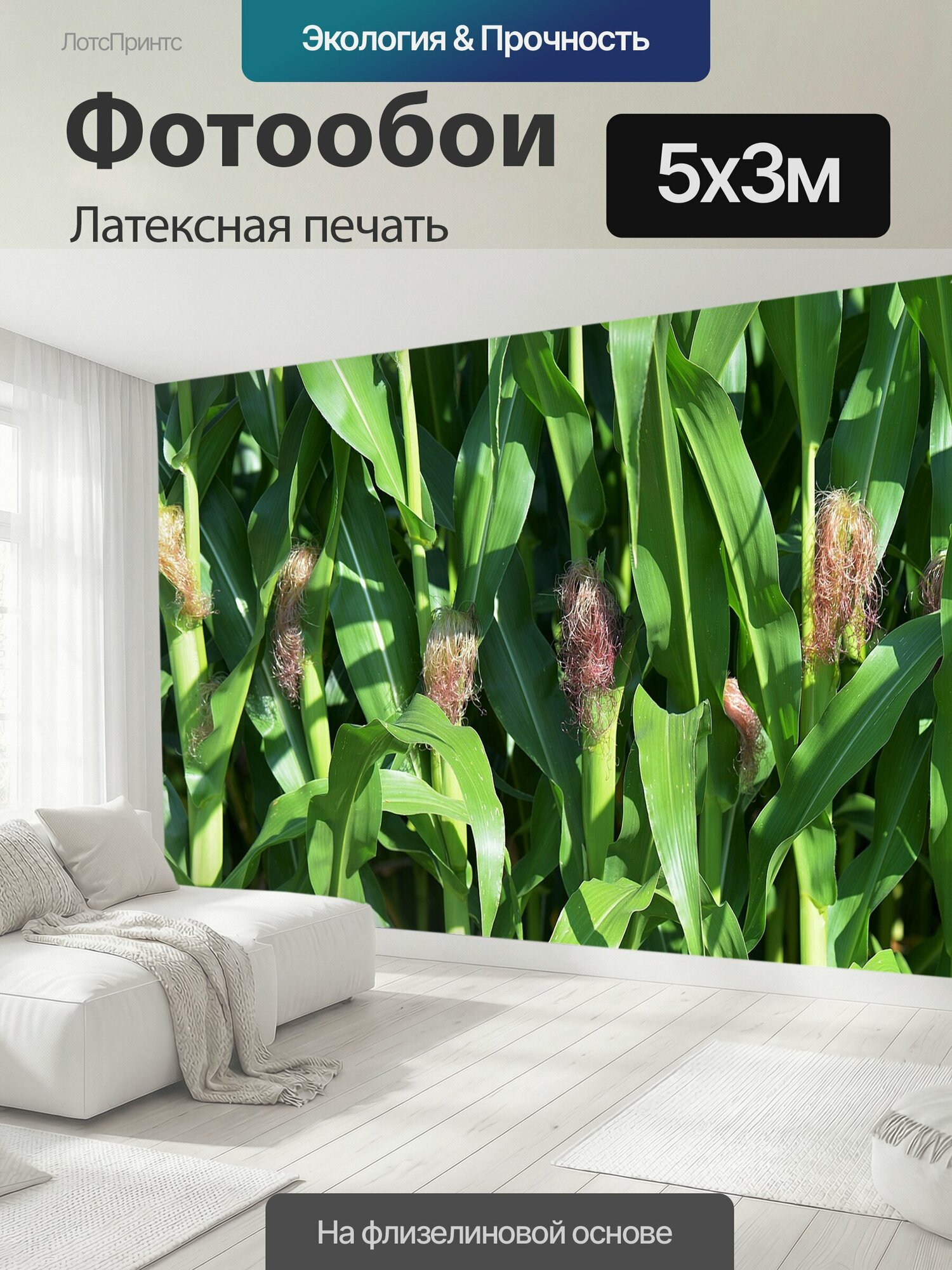 Фотообои моющиеся ударопрочные "Кукуруза, кукуруз, растения" 500x300 см. латексная печать