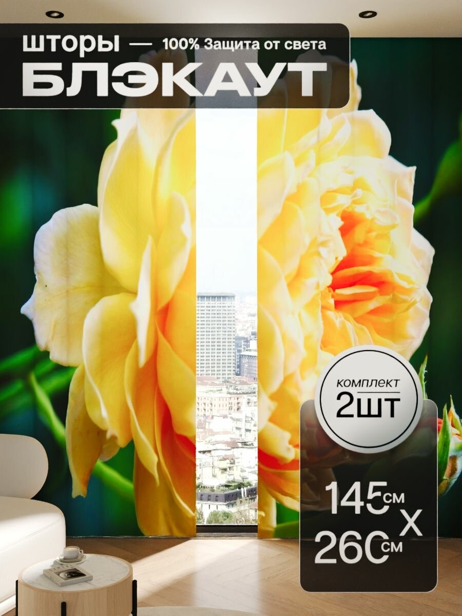 Шторы блэкаут 145x260 см 2 шт на окна плотные комплект
