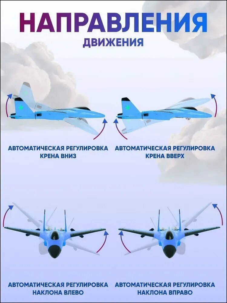 Эксклюзивная авиамодель с радиоуправлением
