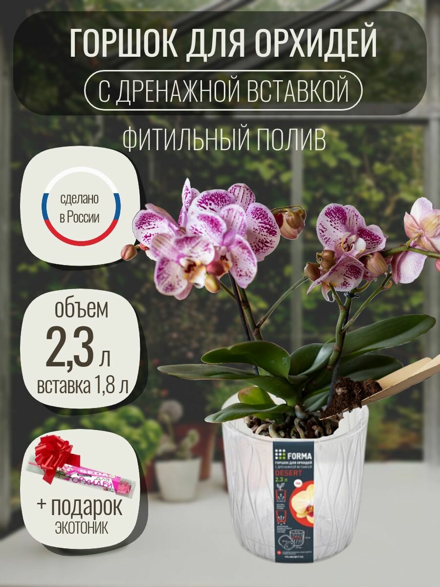 Горшок (кашпо) для орхидей 2,3л прозрачный с дренажной вставкой Полимербыт Desert