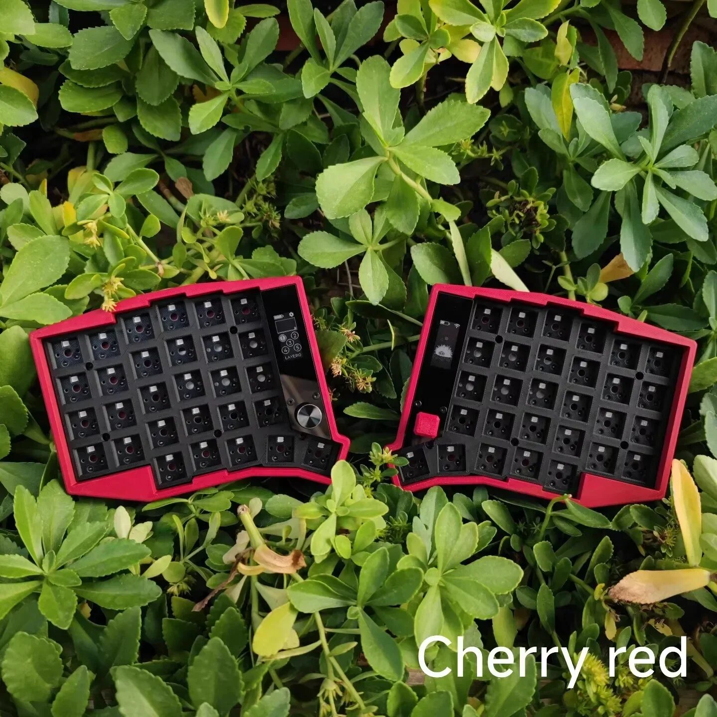 Sofle Split Bluetooth 61-клавишная механическая клавиатура Standard, Красный, Cherry Red