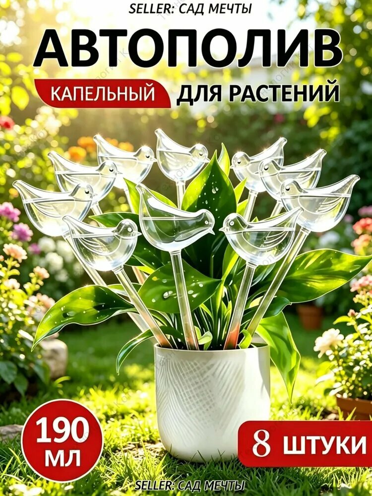 Кашпо с автополивом 6.5 см, 8 шт, цвет прозрачный