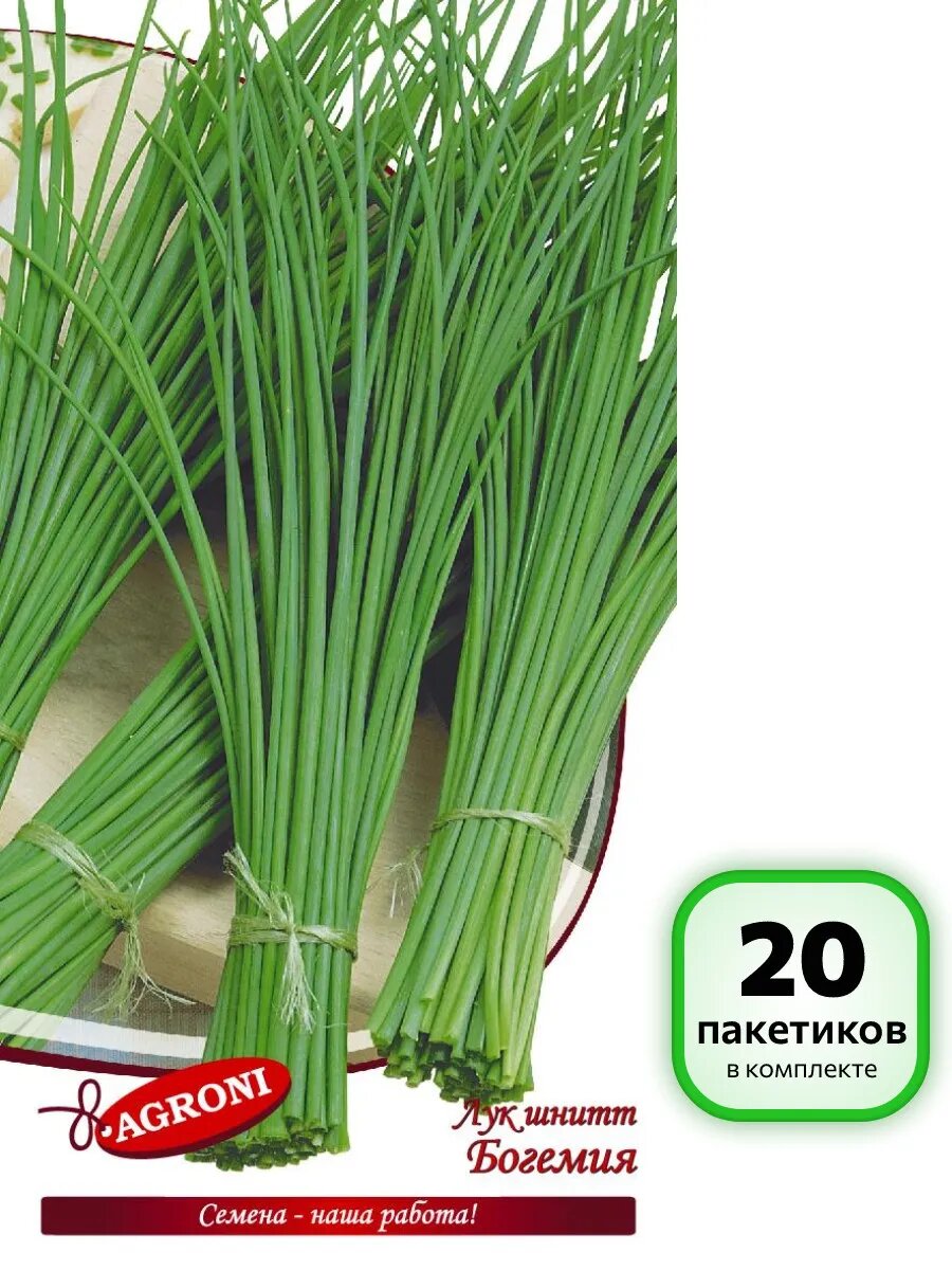 (20 шт.) - Семена Лук шнитт Богемия (0,5г)