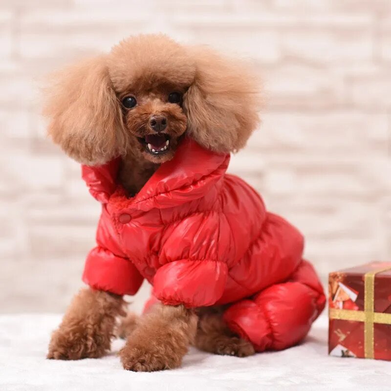 Утепленный комбинезон для собак и кошек GABYDOG красный, размер XL (5-7 кг)