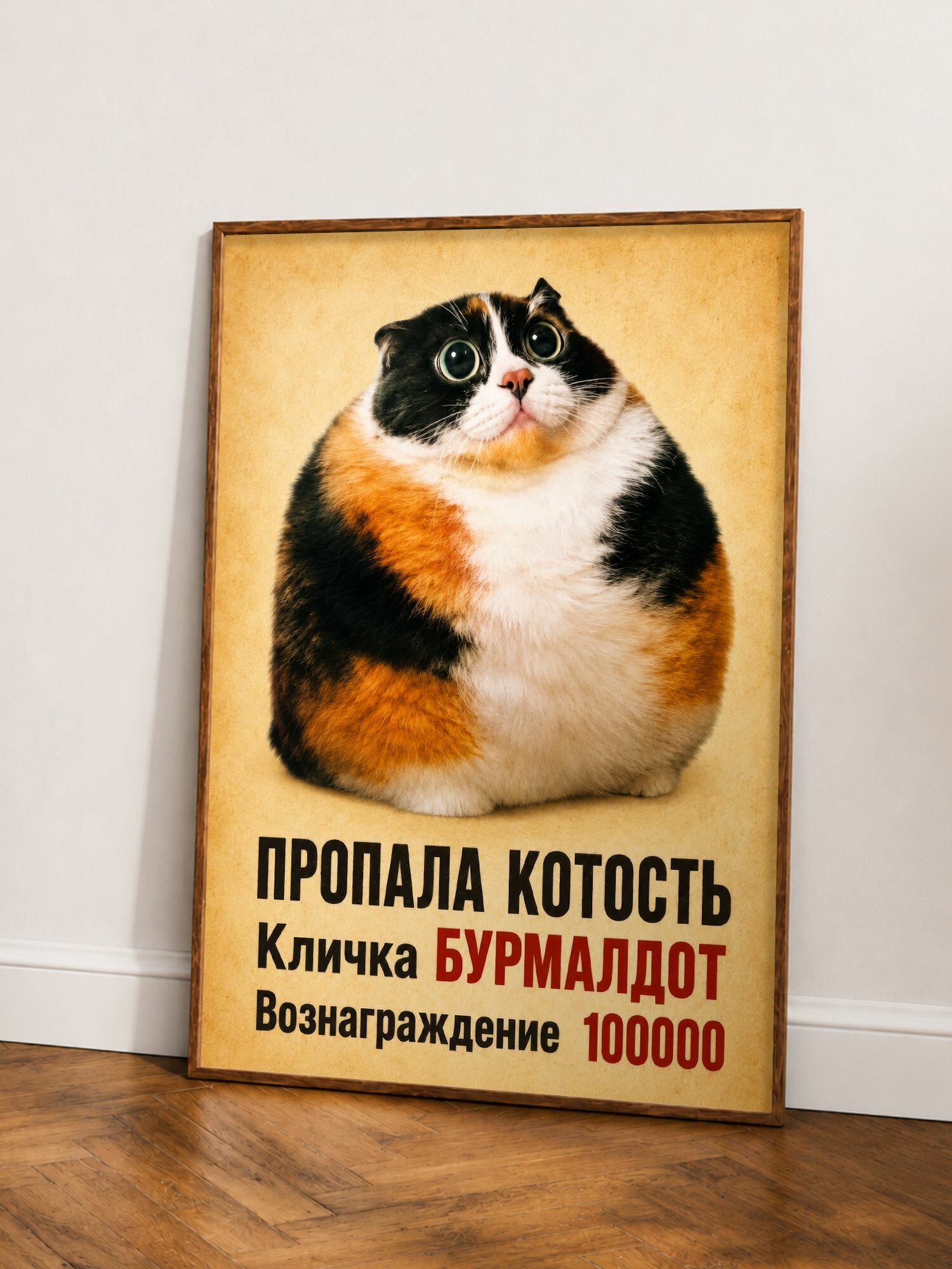 Постер на стену Котость мем — фото 1