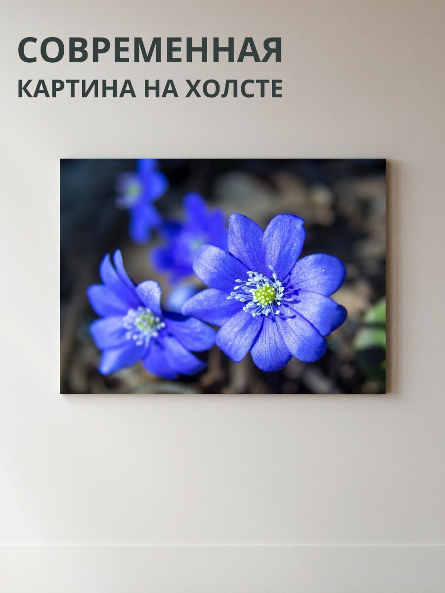 Картина на холсте Цветочная композиция 70x50 см