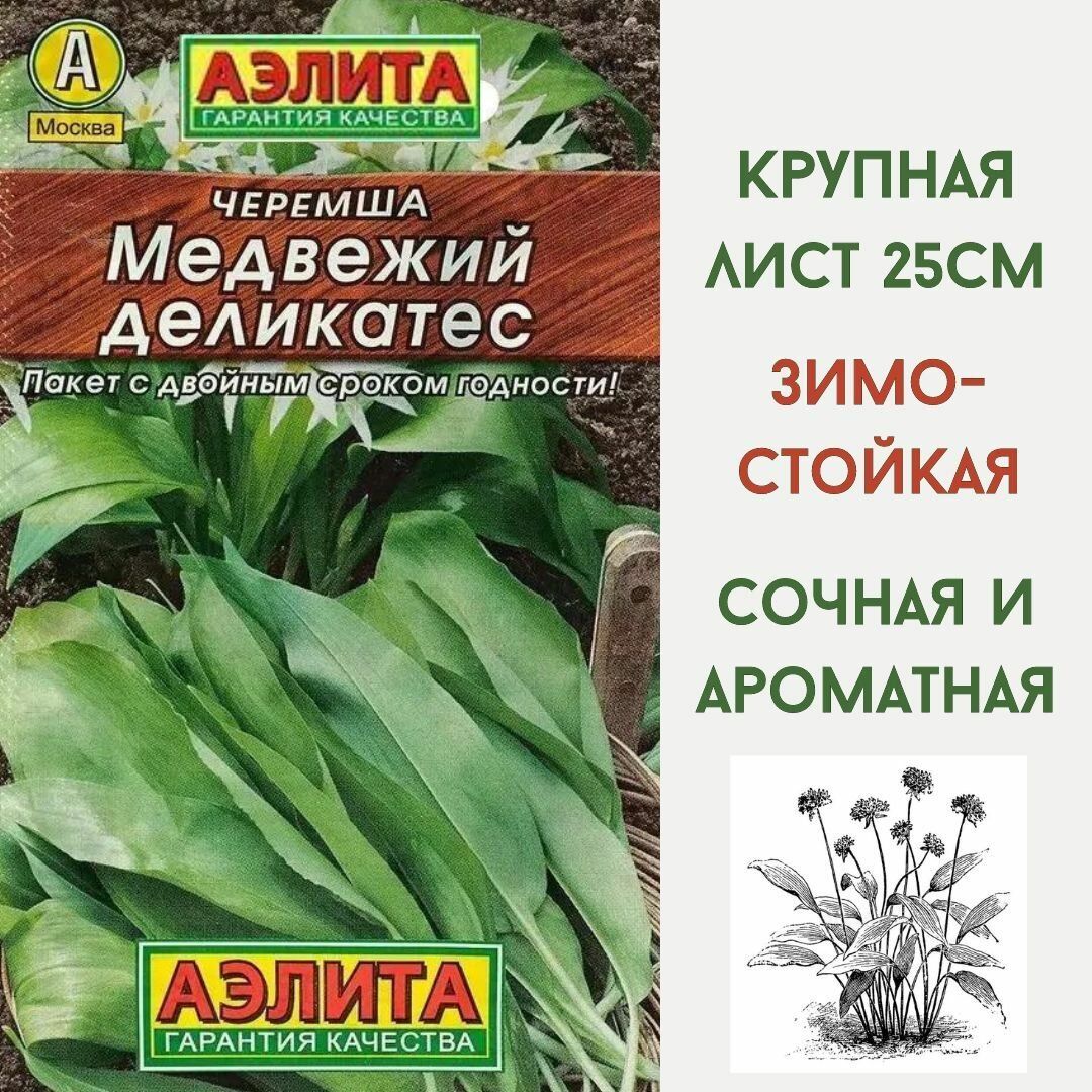 Черемша "Медвежий деликатес", семена черемши Агрофирма 0,3 г семена черемши черемша семена медвежий деликатес