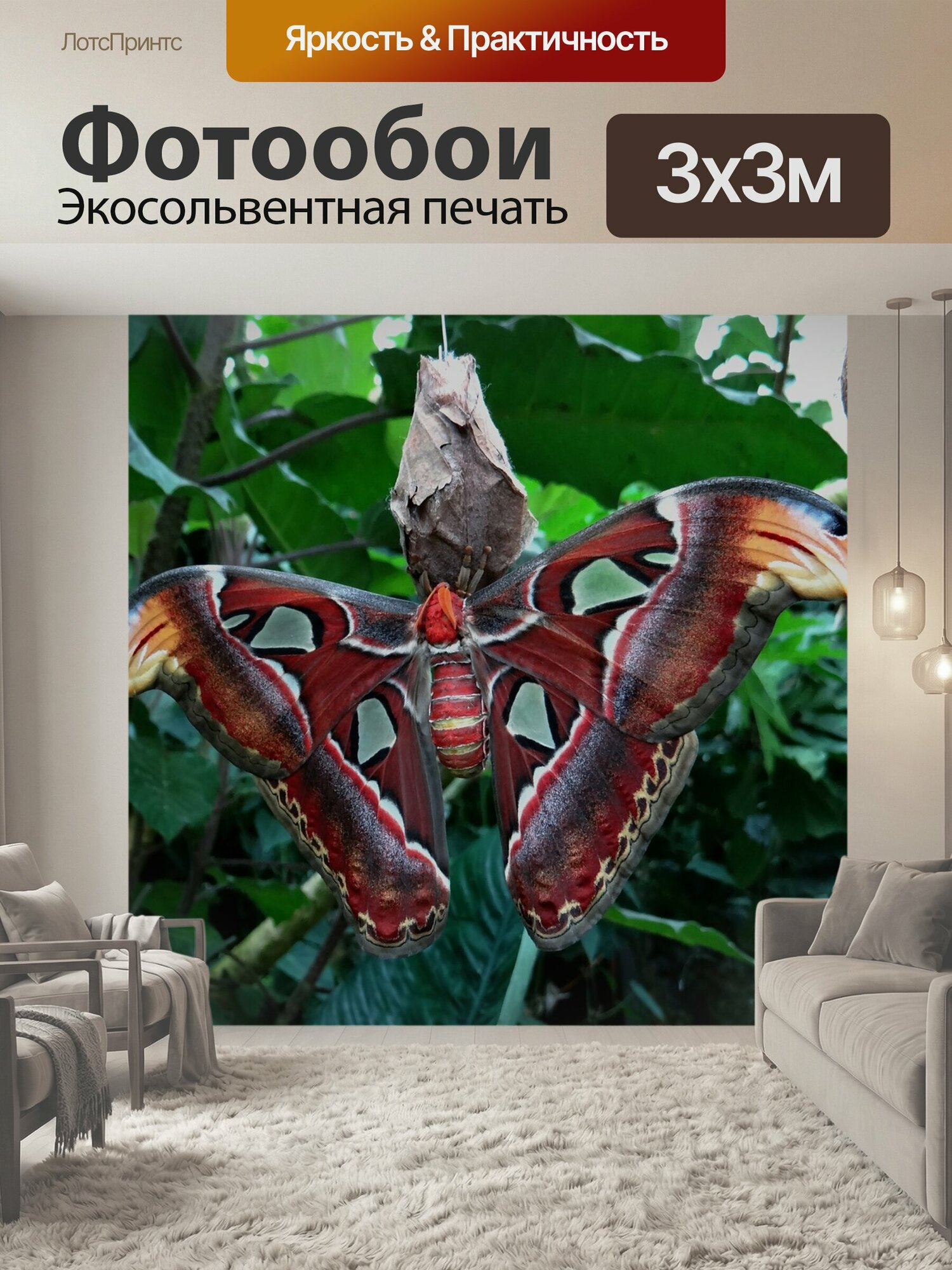 Фотообои "Атлас бабочек, павлиноглазка атлас, желтый коричневый" 300x300 см. экосольвентная печать