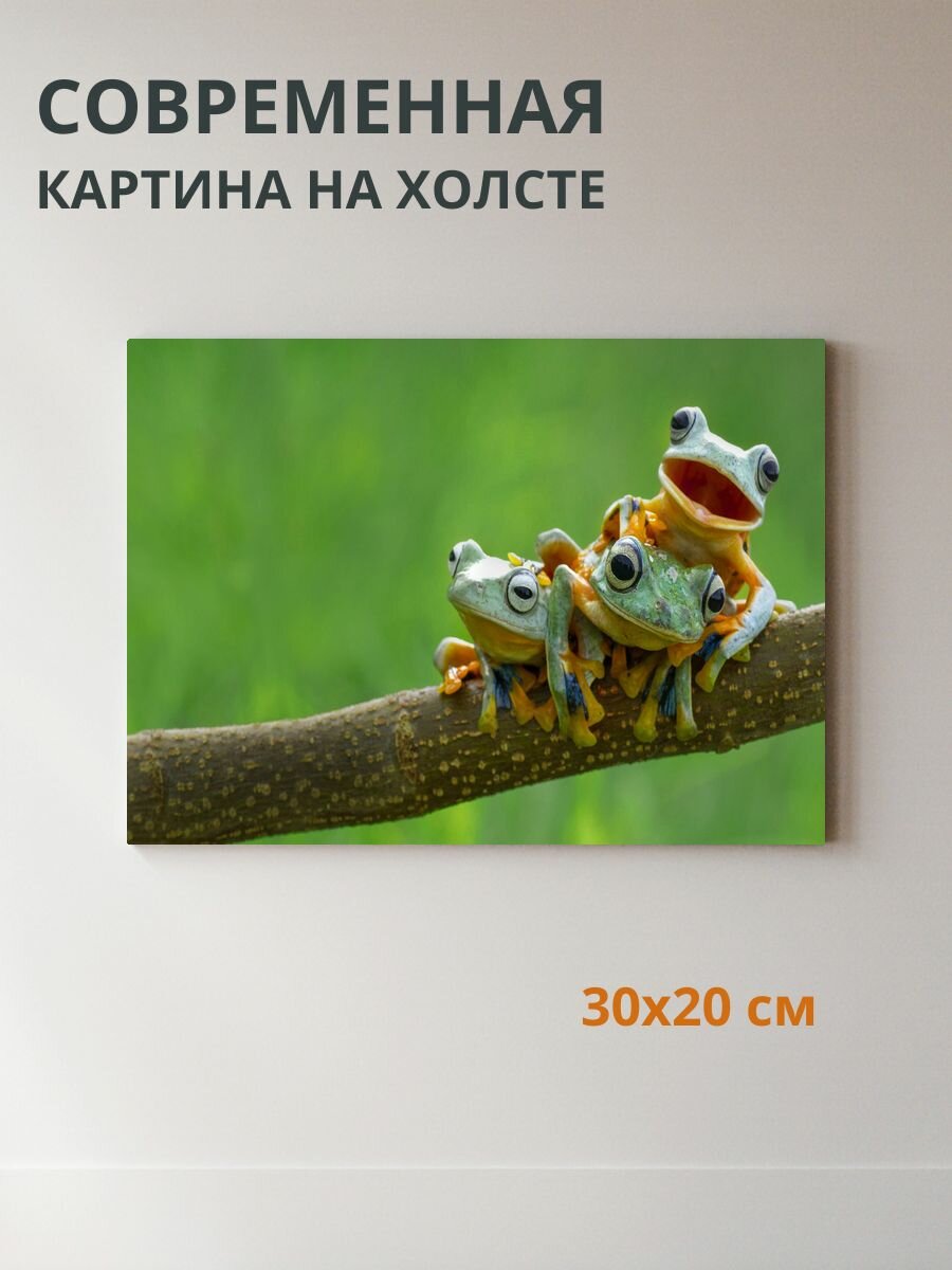 Картина на холсте Лягушонок в зелени 30x20 см