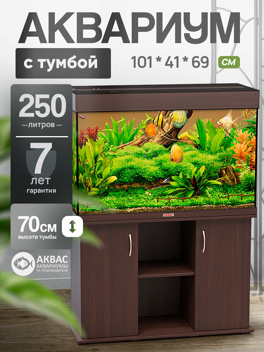 Аквариум 250 литров с тумбой крышкой и освещением (101х41х69 см) Аквас