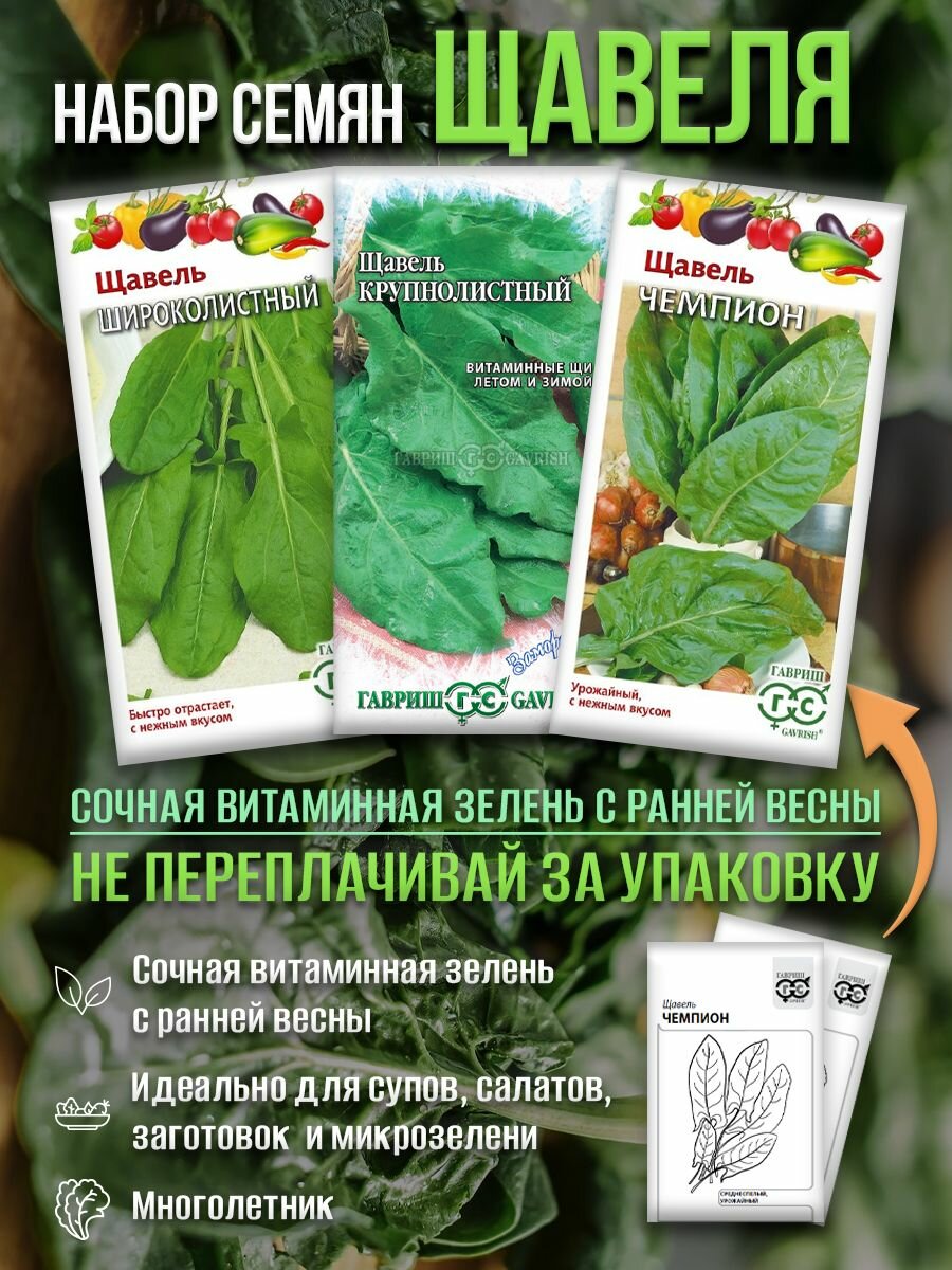 Семена щавеля многолетний Широколистный Крупнолистный Чемпион, для посадки в открытый грунт щавель семена для открытого грунта многолетний щавель