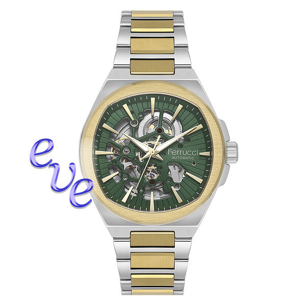Наручные часы Ferrucci 3572-02