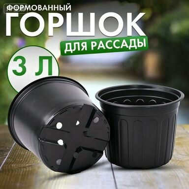 Кассета для рассады