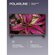 Телевизор POLARLINE 32PL12TC
