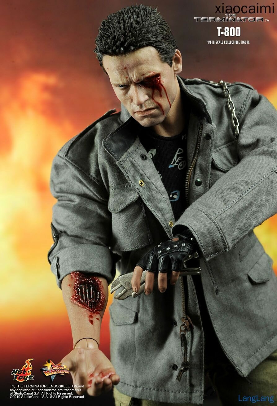 Hot Toys MMS136, The Terminator T800 1/6th scale Collectible Терминатор фигурка