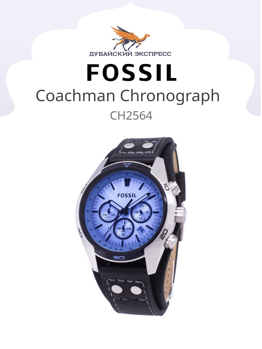  FOSSIL