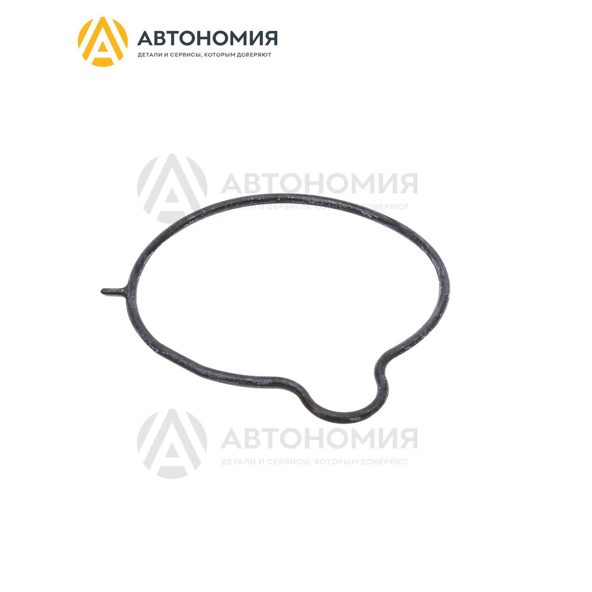 Кольцо уплотнительное головки блока Mitsubishi 1005A609
