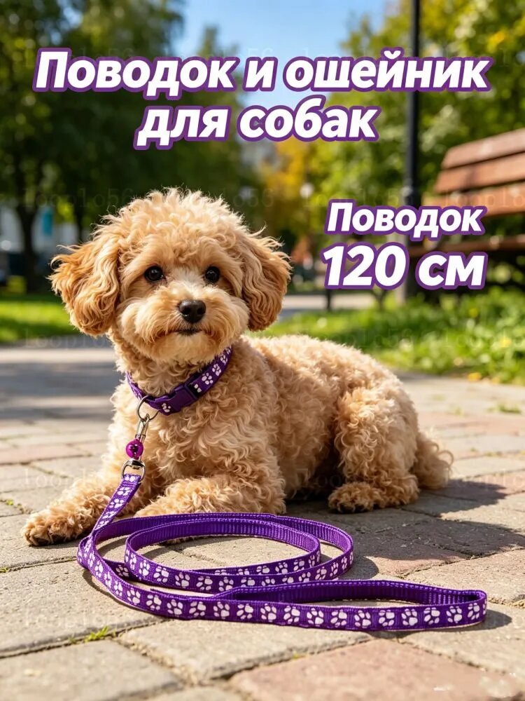 Поводок и ошейник для собак мелких пород щенков и кошек