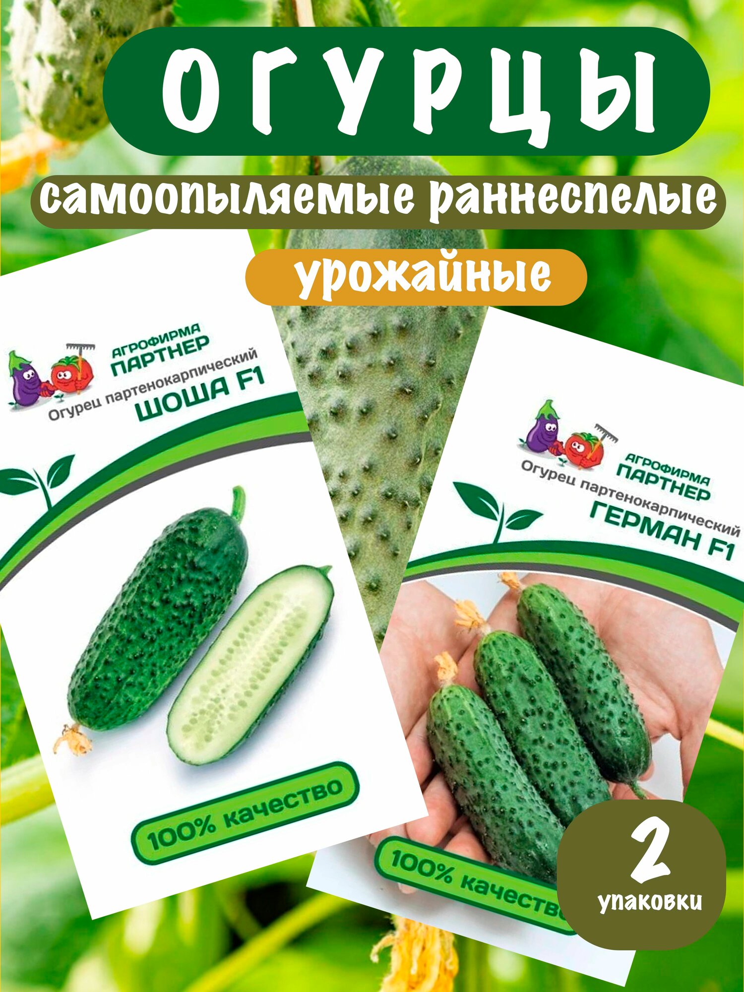 Семена огурцов Шоша и Герман для выращивания для посадки