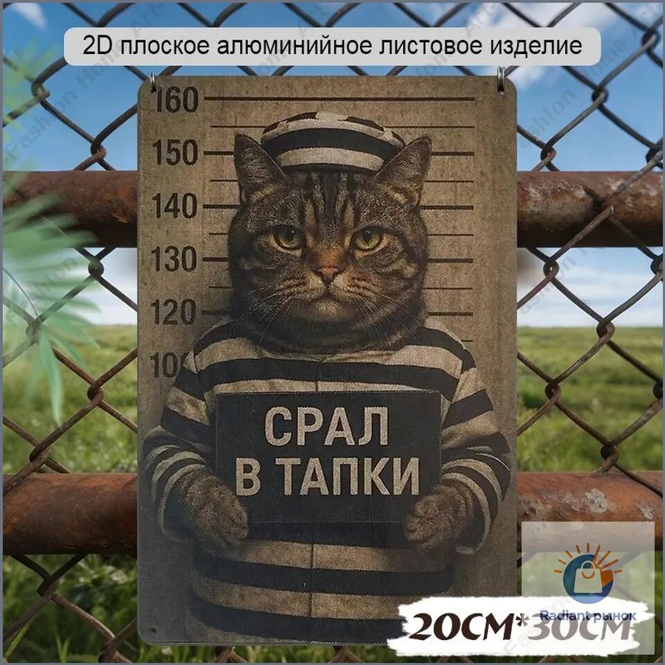 20cm*30cm, 2D плоская алюминиевая табличка 'кот-заключенный с юмором'