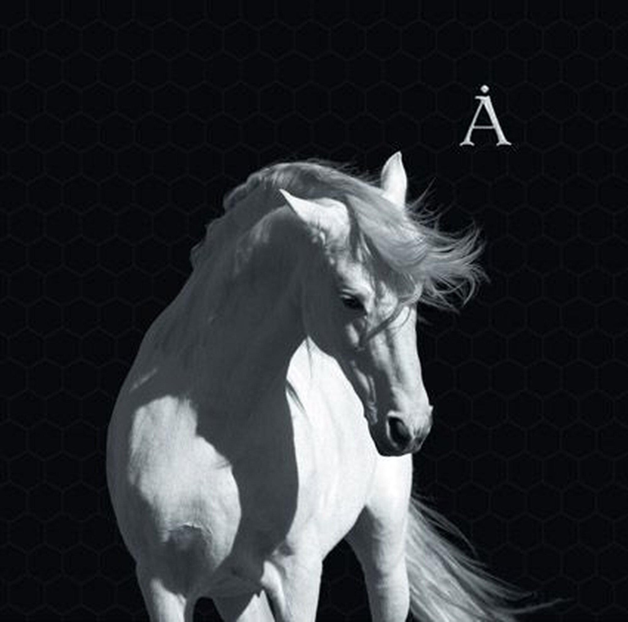 Виниловая пластинка Аквариум - Лошадь белая (LP), 2014 г, 1 шт
